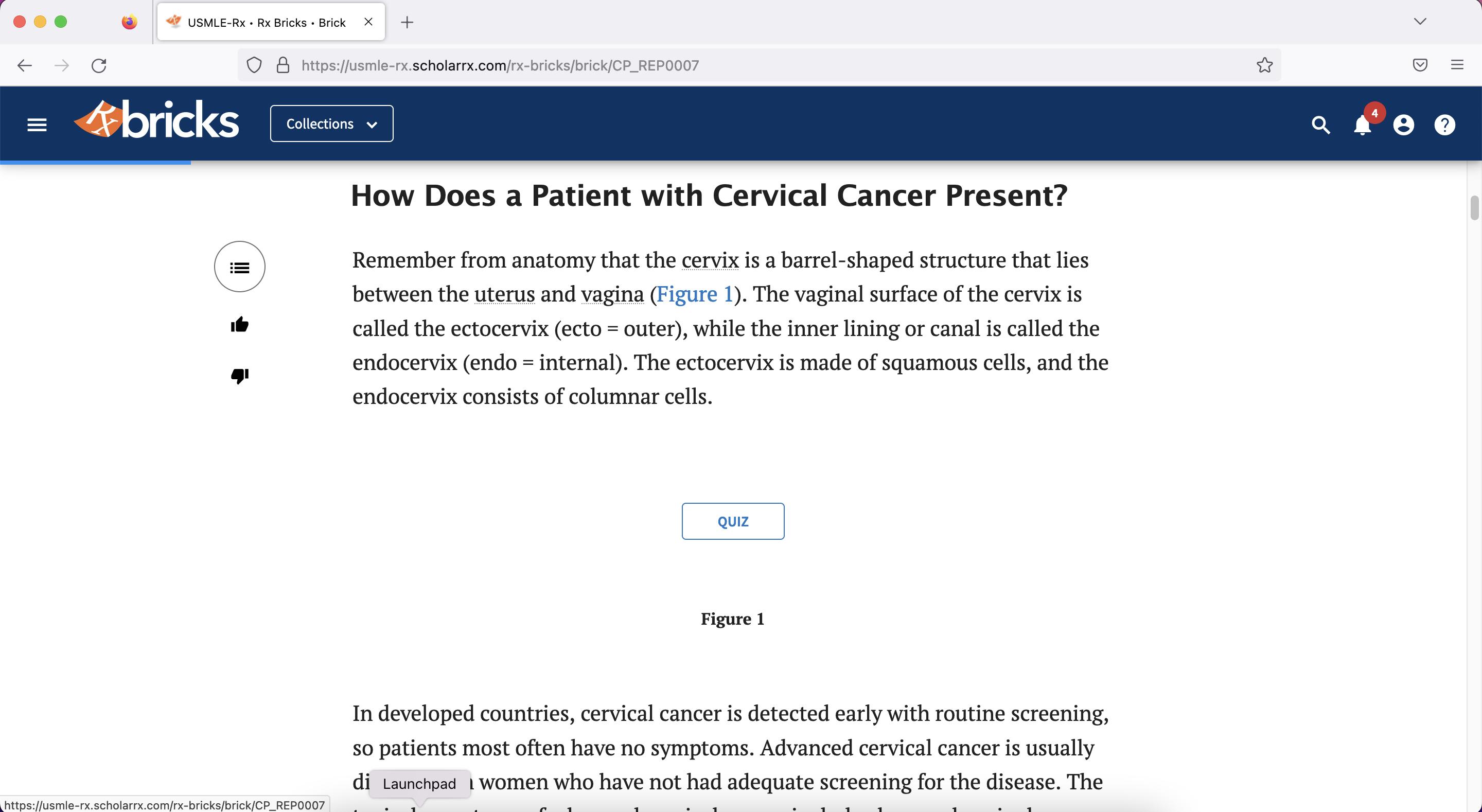 usmle-rx.com - design is broken · Issue #113723 · webcompat/web-bugs · GitHub