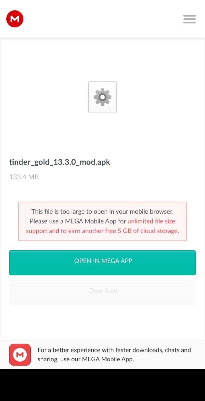 mega.nz - see bug description · Issue #118552 · webcompat/web-bugs · GitHub